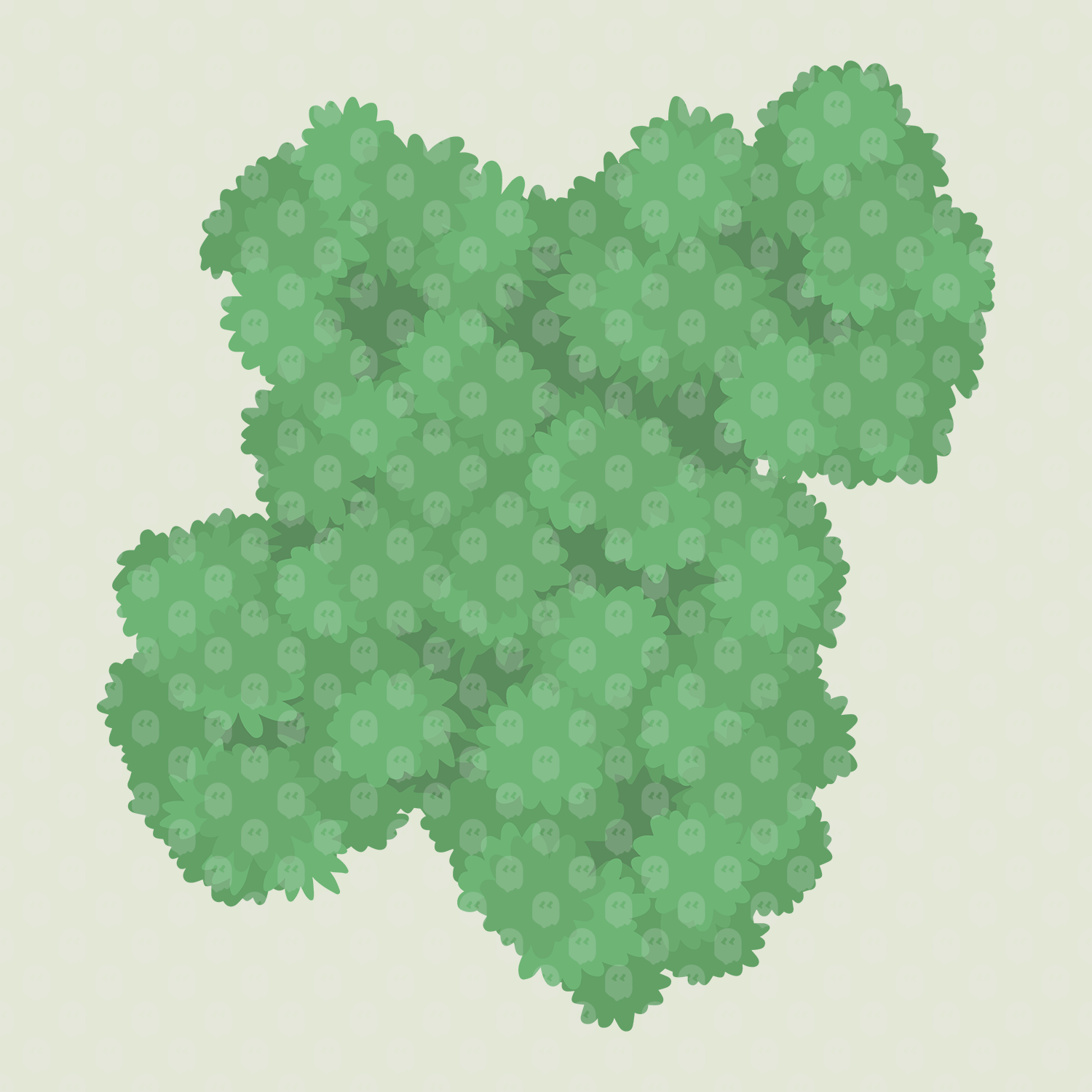 Archade Green Watercolor Tree Top View Vector Drawings