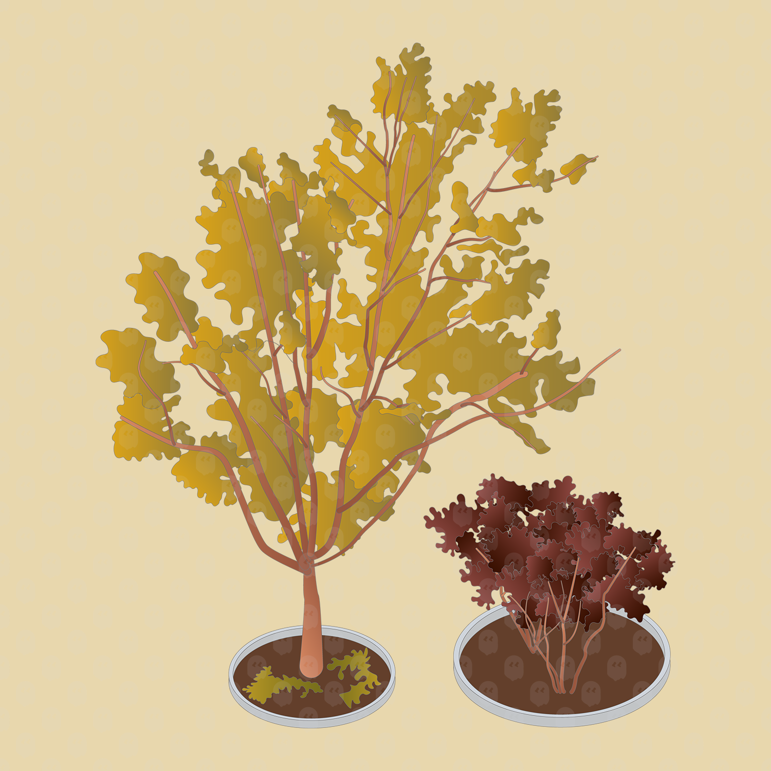 Archade | Axonometric Circular Landscape Area With Trees Vector Drawings