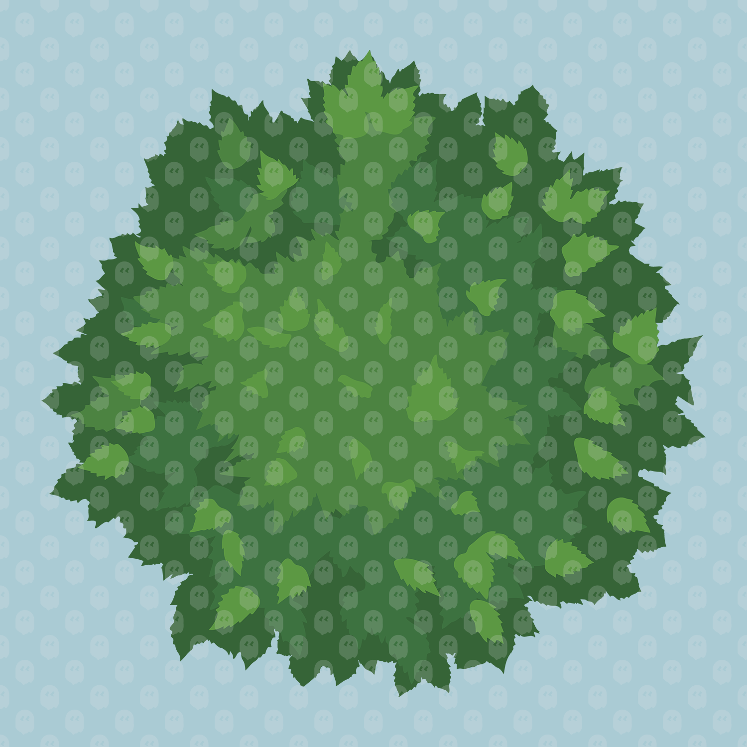 Archade Green Watercolor Tree Top View Vector Drawings
