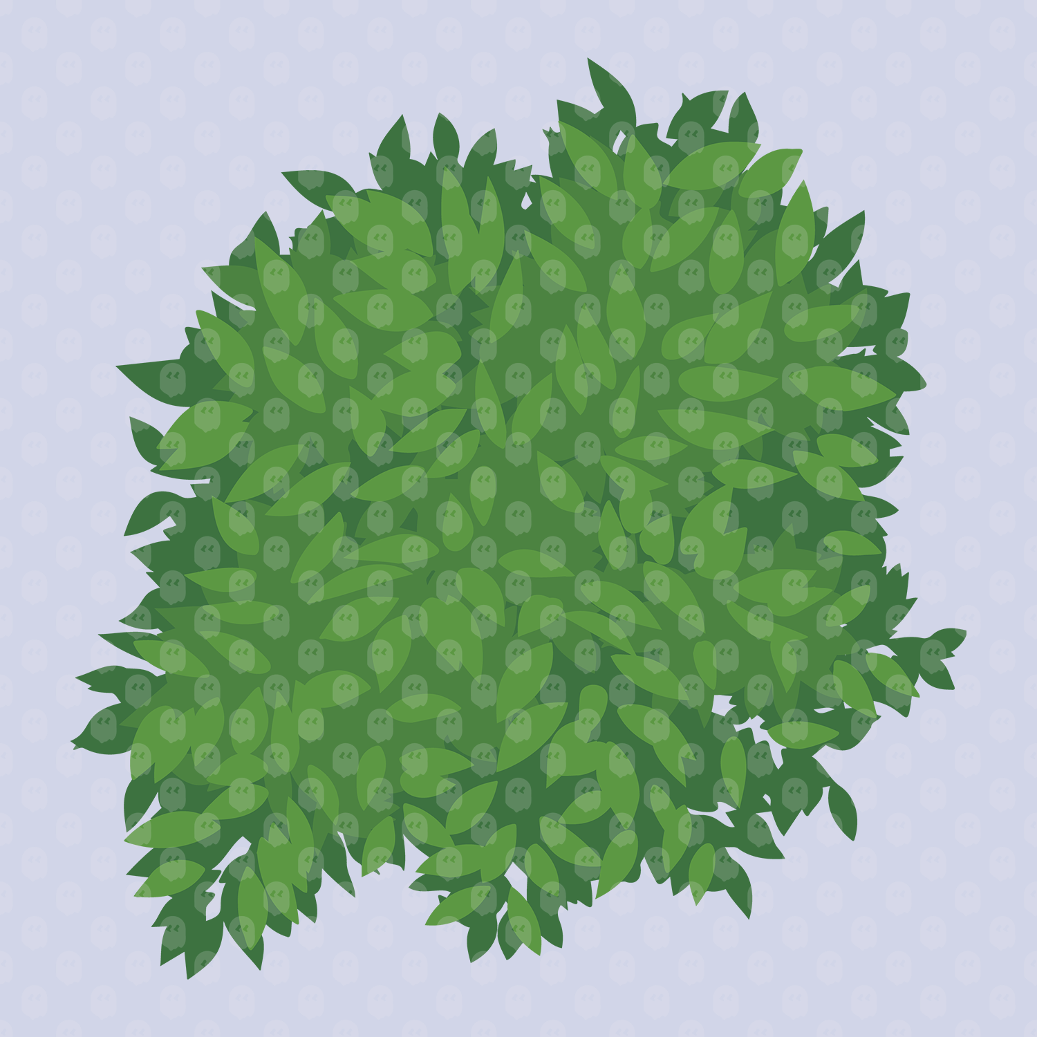 Archade Green Watercolor Tree Top View Vector Drawings